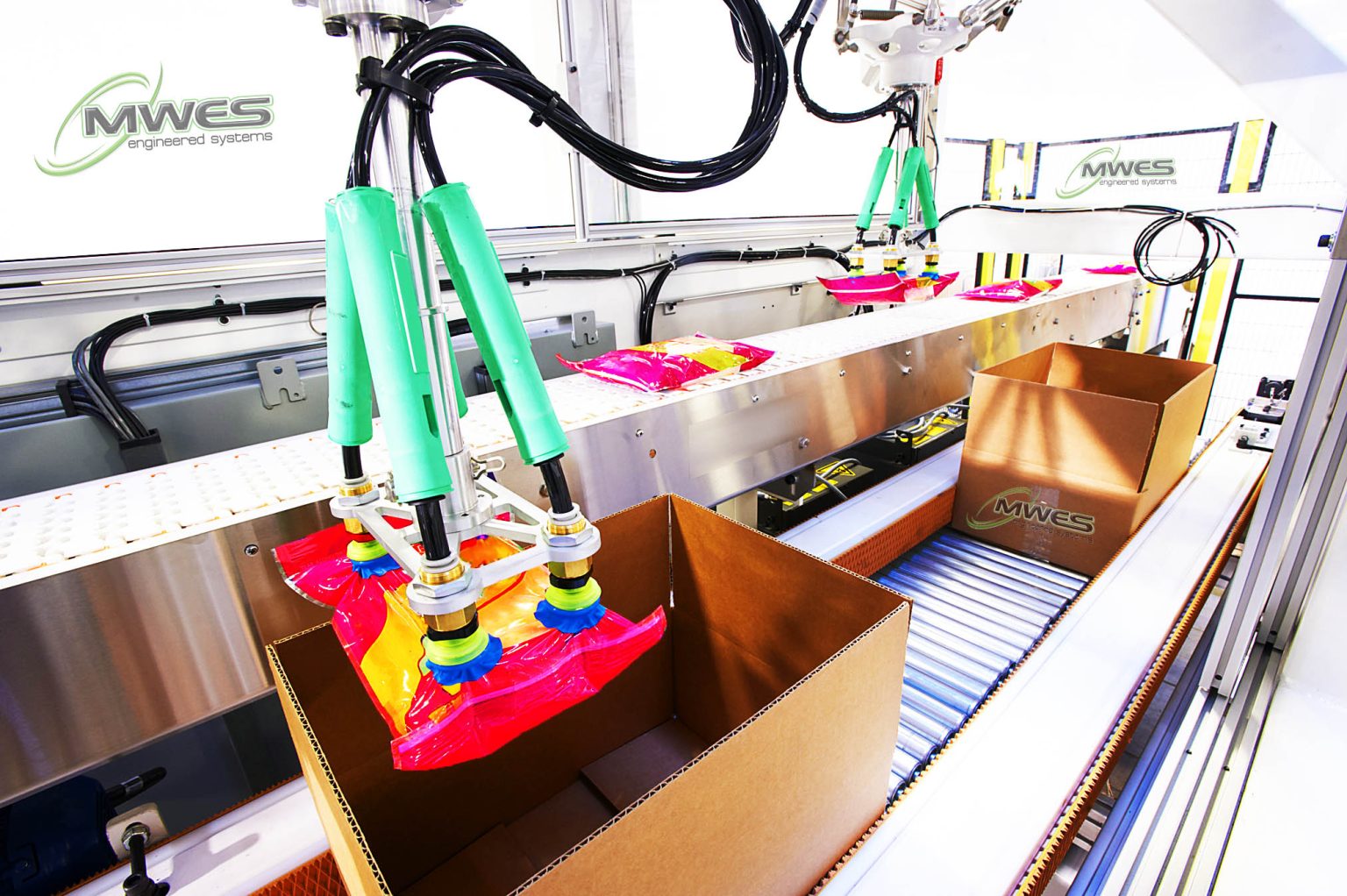 Case Packing Systems | Midwest Engineered Systems